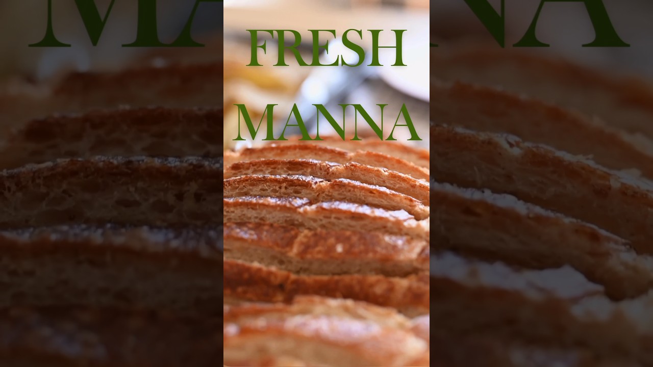 Fresh Manna: Discover the power of God’s Word.🛐 ️ 📖 #jesus #bible # ...