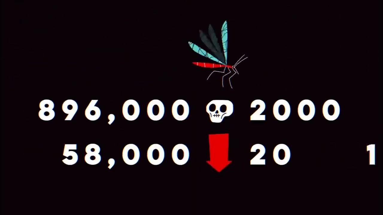 Ethical dilemma Should we get rid of mosquitoes Talya Hackett - YouTube