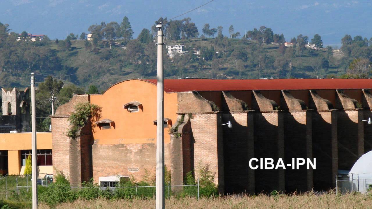 1st Biotechnology World Symposium CIBA-IPN - YouTube