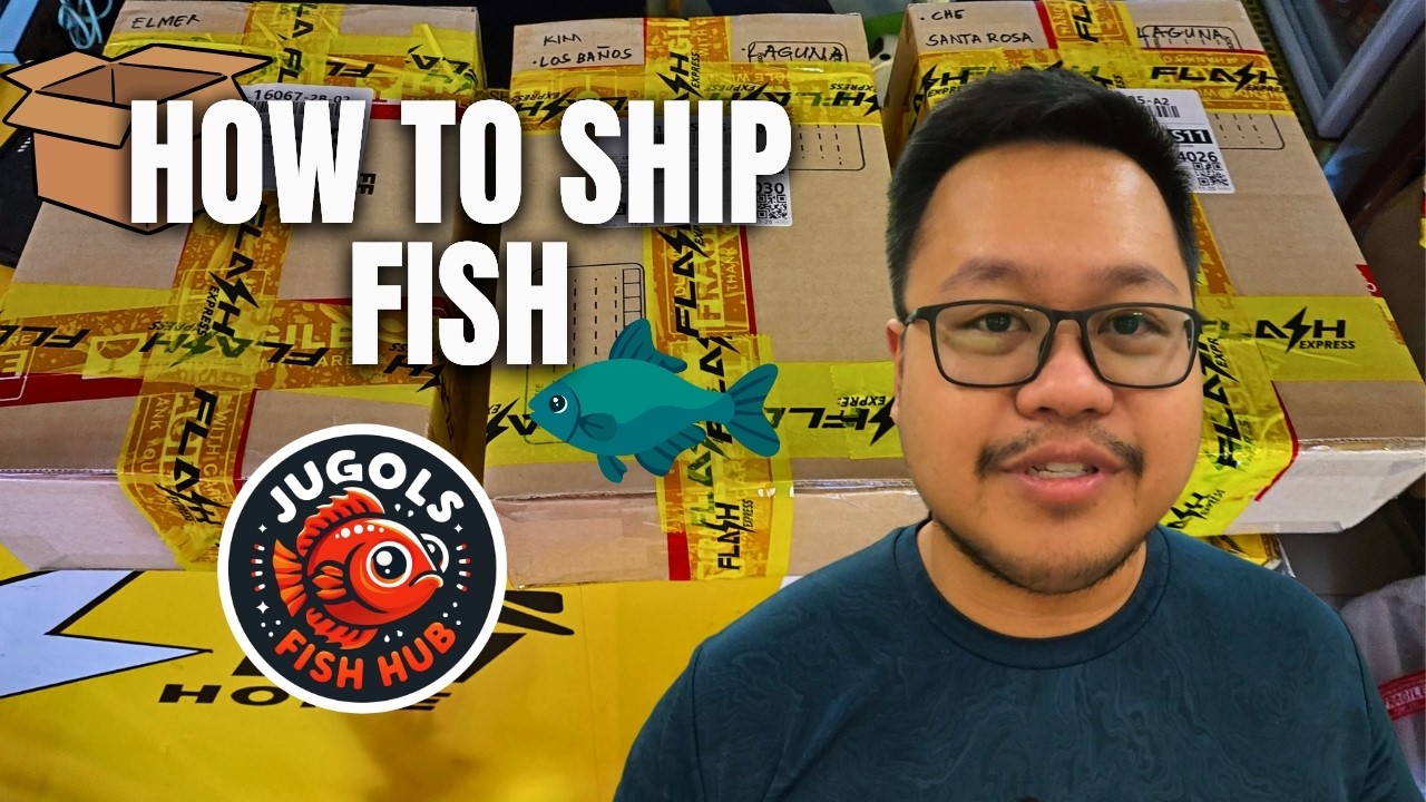 How to ship fish in the Philippines - YouTube