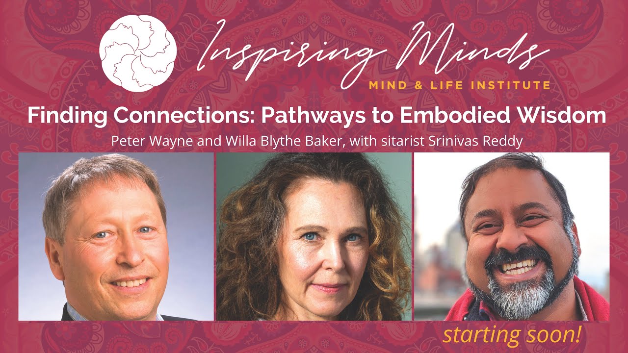 Finding Connections: Pathways to Embodied Wisdom // Inspiring Minds ...