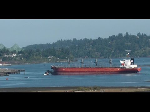 Time Lapse of Cargo Freighter Ship - Docking - Crane Loading ...