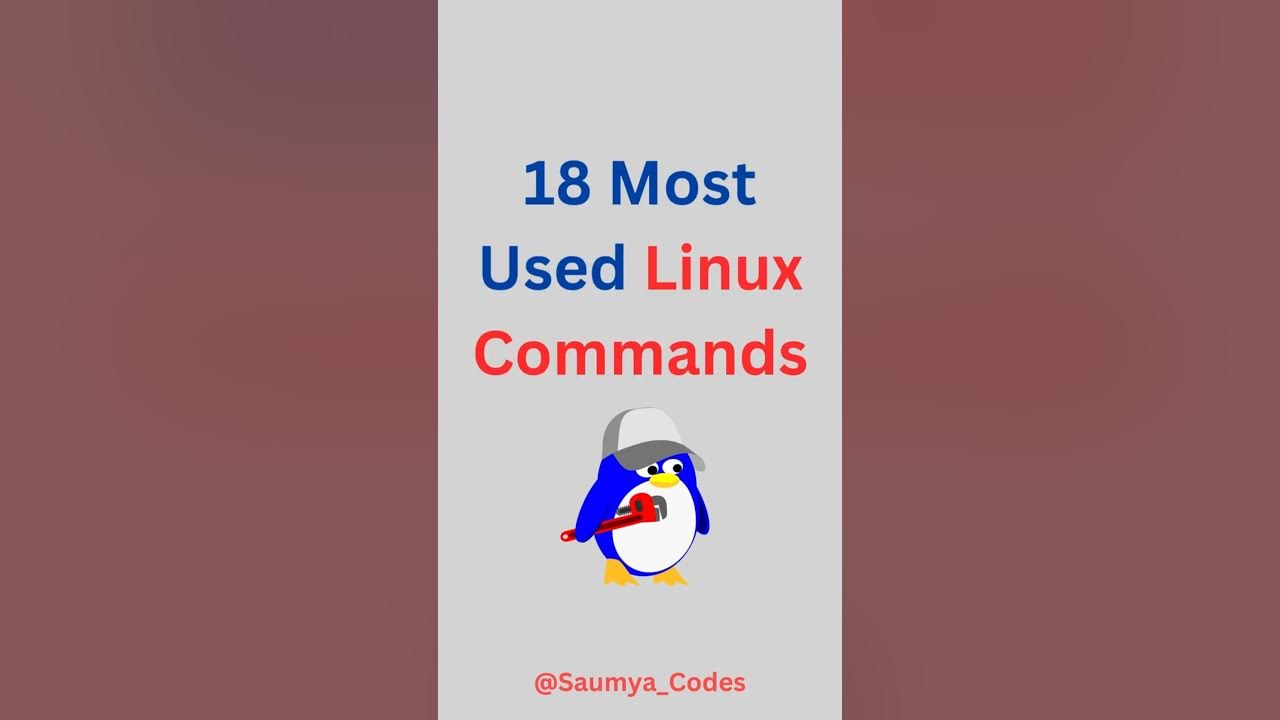 18 Most Used Linux Commands - YouTube