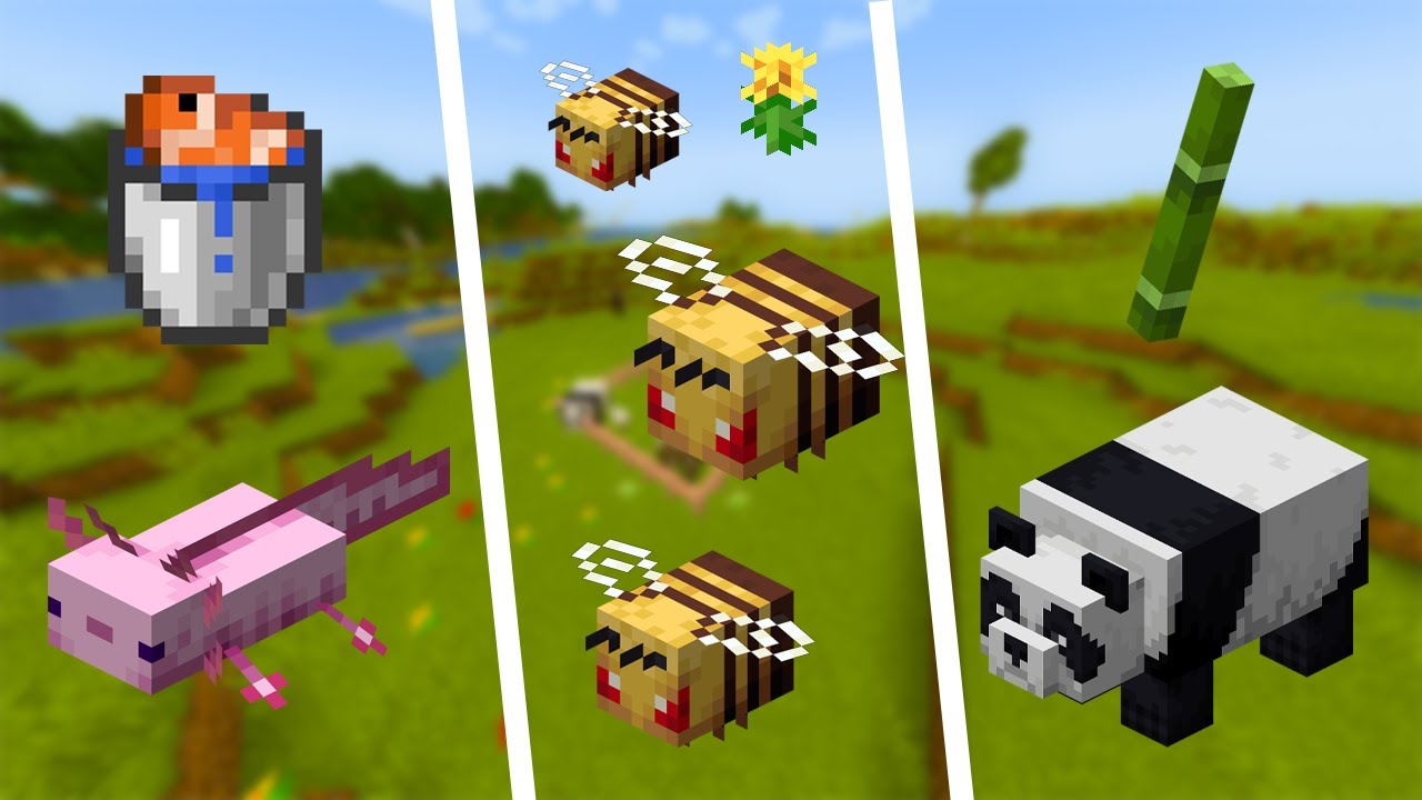 How to Tame + Breed all Animals in Minecraft - YouTube