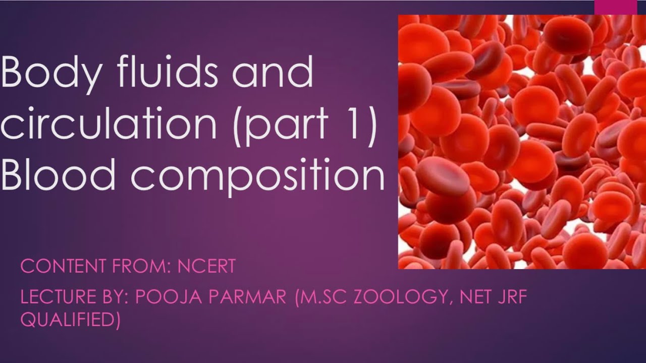 Blood composition part1 !body fluids and circulation! Plasma and formed ...