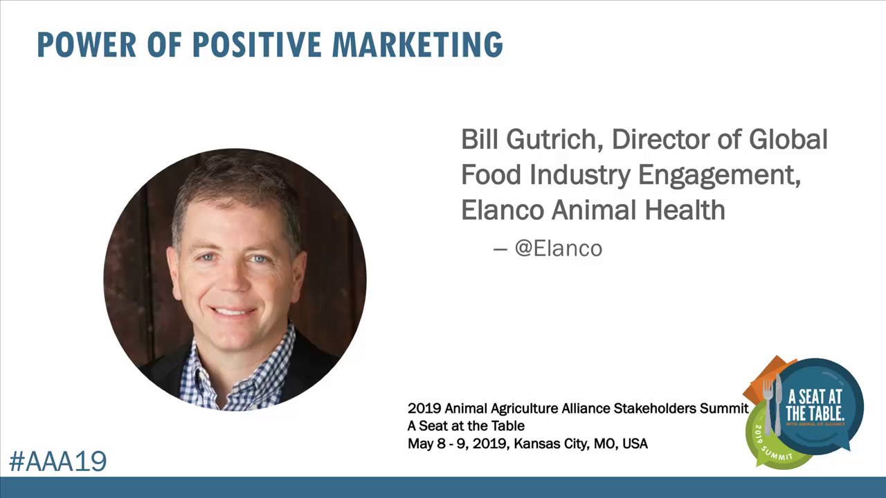 Bill Gutrich - The Power of Positive Marketing - YouTube
