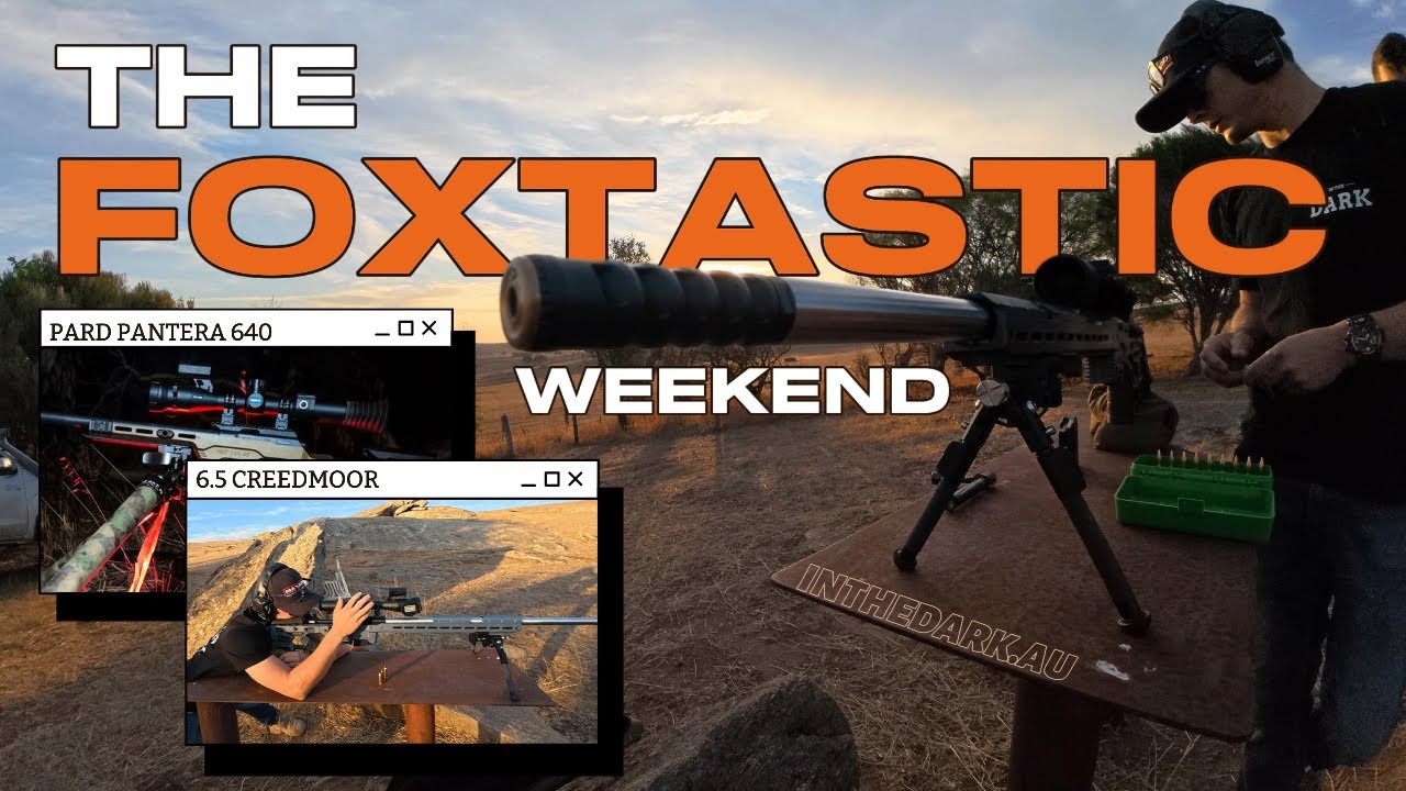 Foxtastic Weekend - First Foxes Down With The Pard - YouTube
