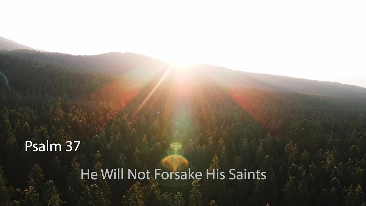 Psalm 37 He Will Not Forsake His Saints Hindi Niya Iiwan Ang psalm-37-he-will-not-forsake-his-saints-hindi-niya-iiwan-ang