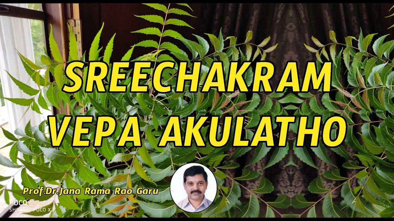 SREECHAKRAM WITH NEEM LEAF'S || By Prof.Dr.Jana Rama Rao Garu | JR TV ...