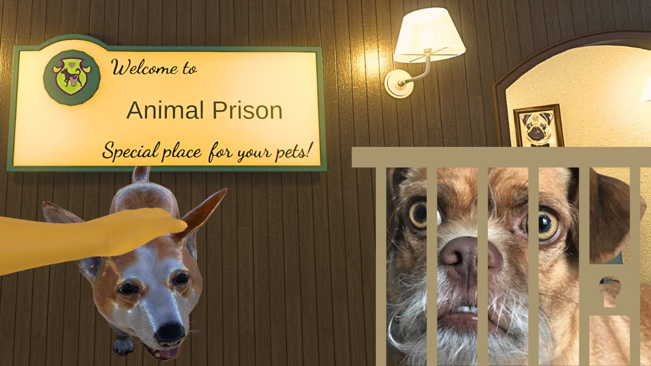 People Gave Me Their Pets For Stay at Pet Prison | Fish, Turtle, Cats ...