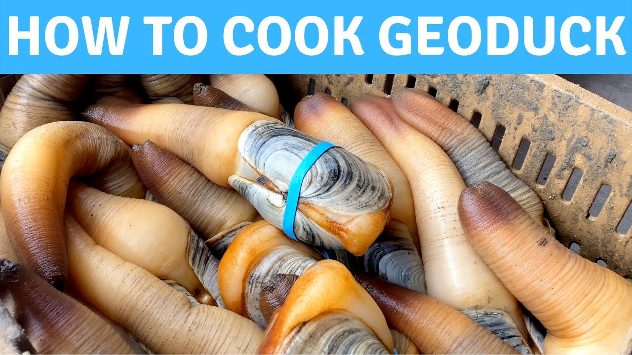 Sustainable Shellfish Aquaculture: My Journey to Taylor Shellfish in ...