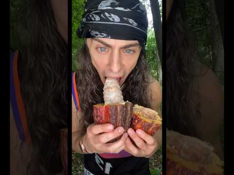 CHOCOLATE FRUIT / CACAO