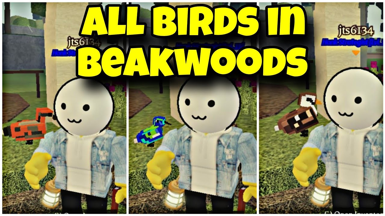 All BIRDS in Beakwoods Beaks Roblox | beakwoods area - YouTube