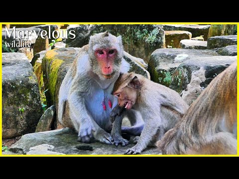 Jane's family, Br@tJonna u/nhappyy with mother being d/isqualifiedd to intimate milk