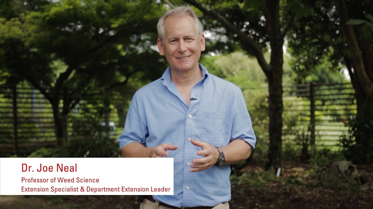 Joe Neal, NC State Extension, Weed Science Specialist for Nursery ...