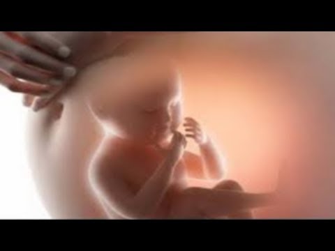 Bir Hamile Anne Ağladığında Bebeğin Ne Yaptığına İnanamayacaksınız