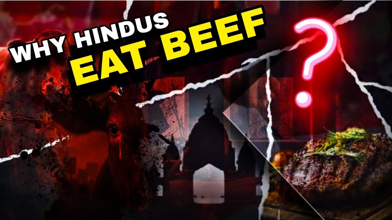 The Truth About Beef and Hindu culture | beef eating sahi hai! Clash of ...
