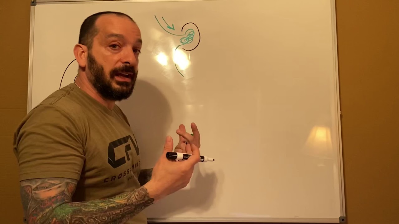 Kindney function - YouTube