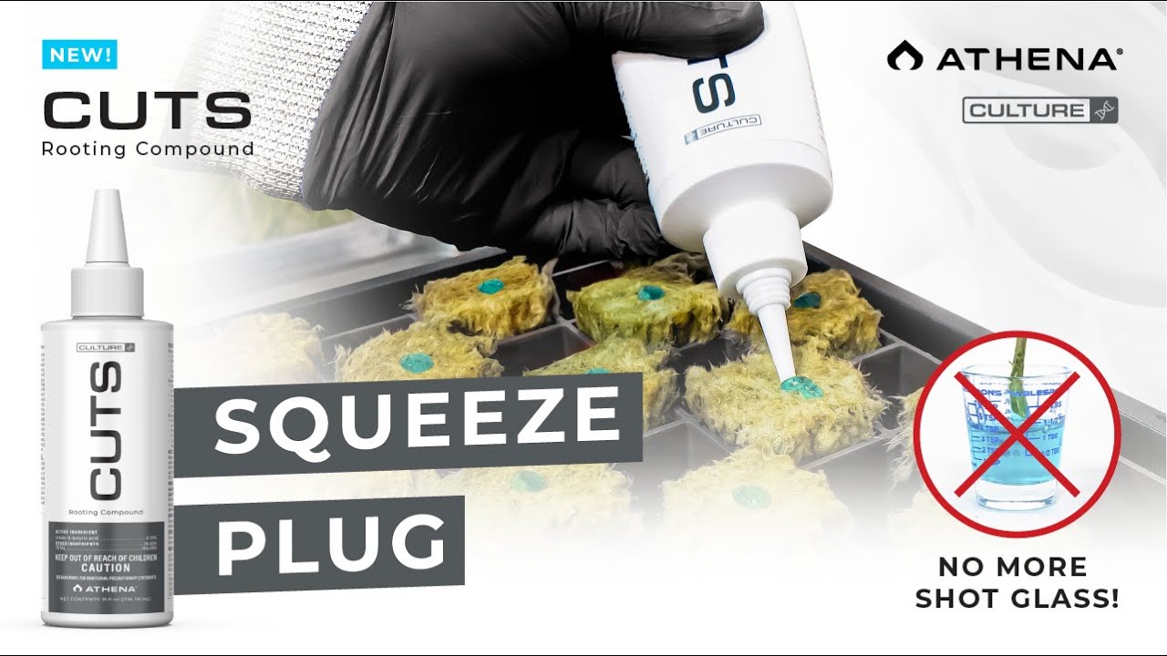 Athena® Cuts Premium Rooting Gel - YouTube