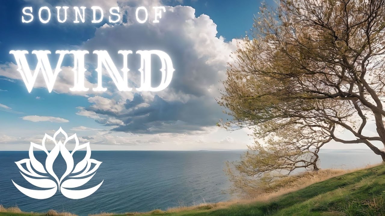 Relaxing Sounds of WIND | Lumina Melody - YouTube