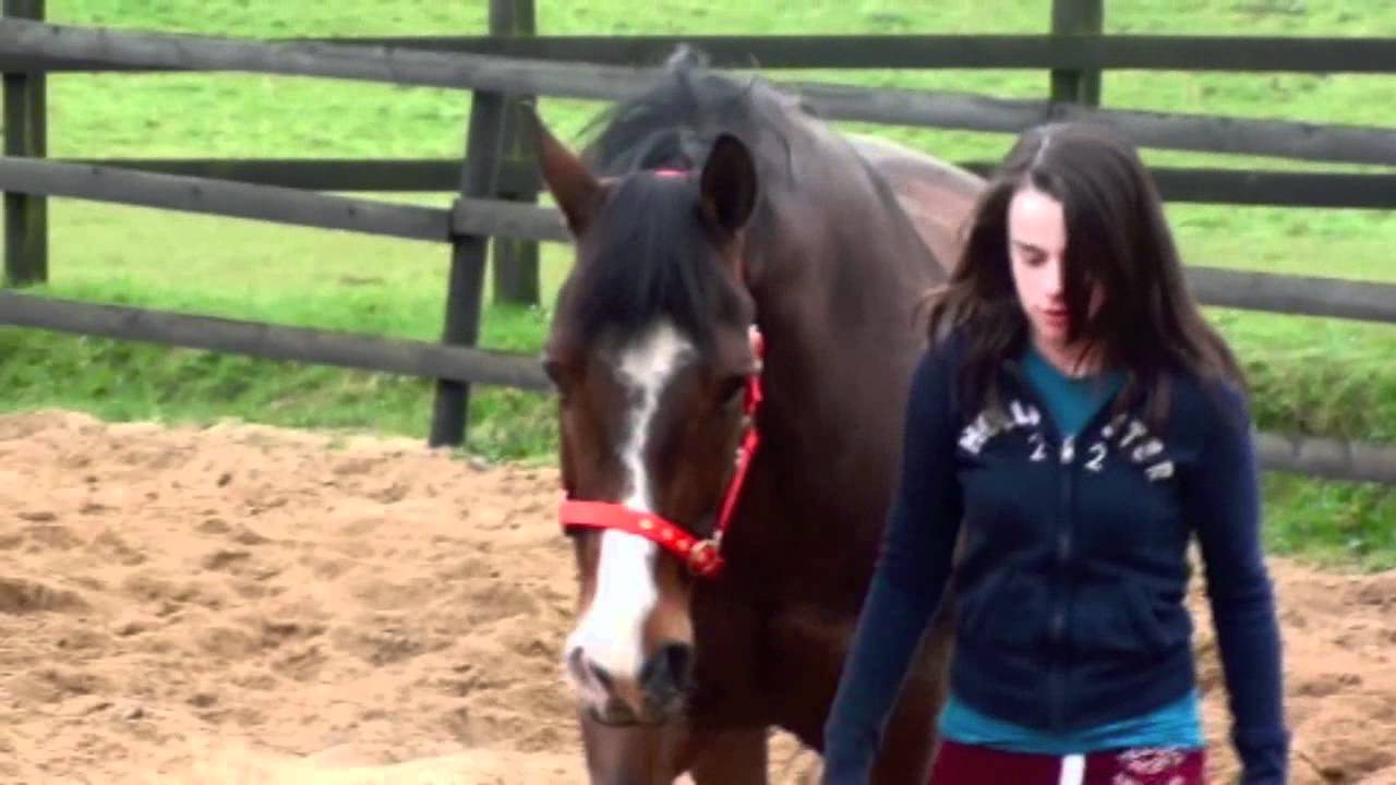 Casper- New pony New beginning - YouTube