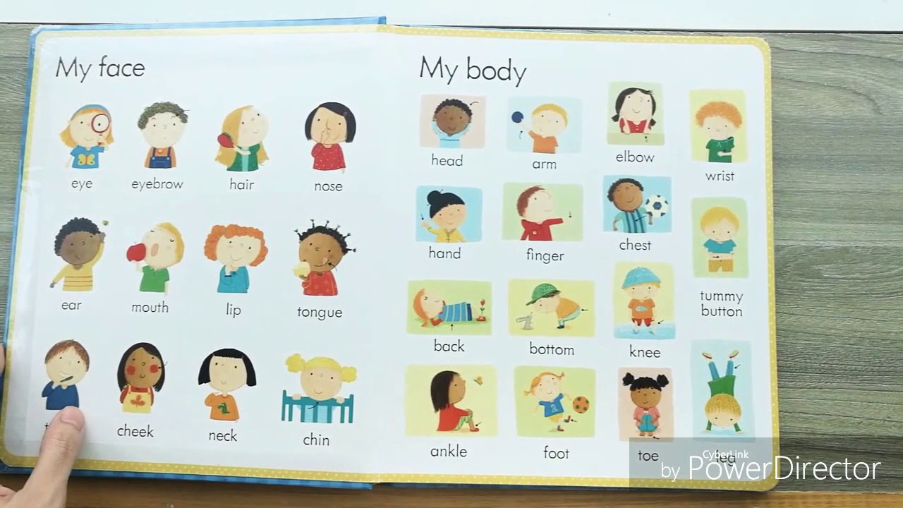 Usborne - My First Word Book About Me ( Review ) - YouTube