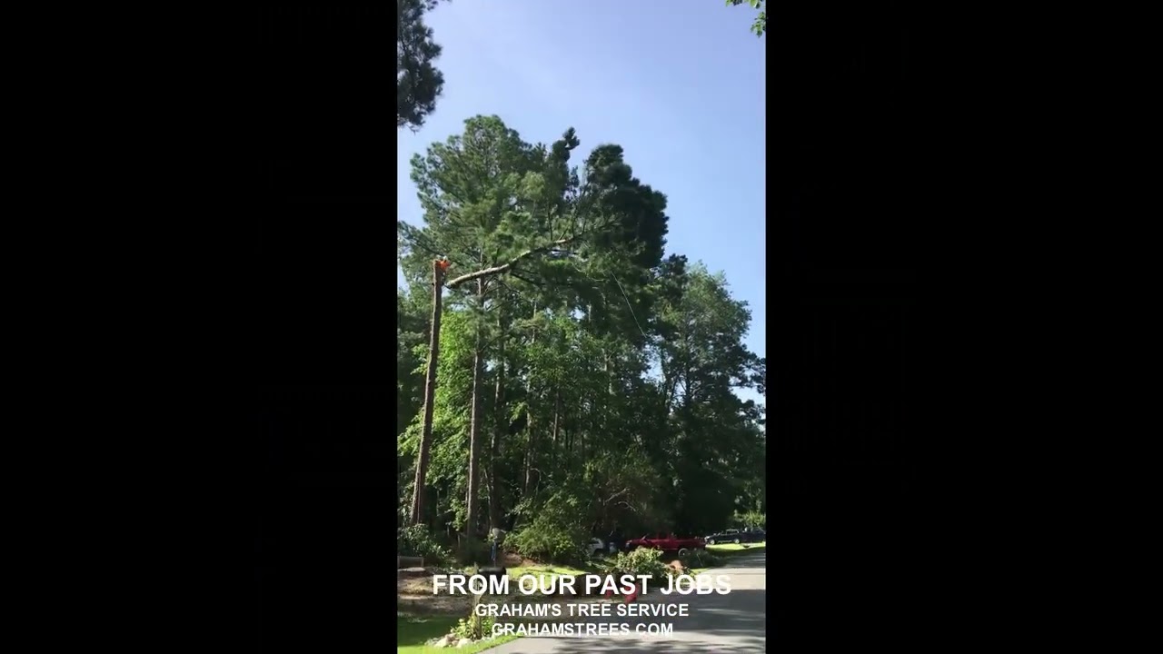 Graham Tree Service - YouTube