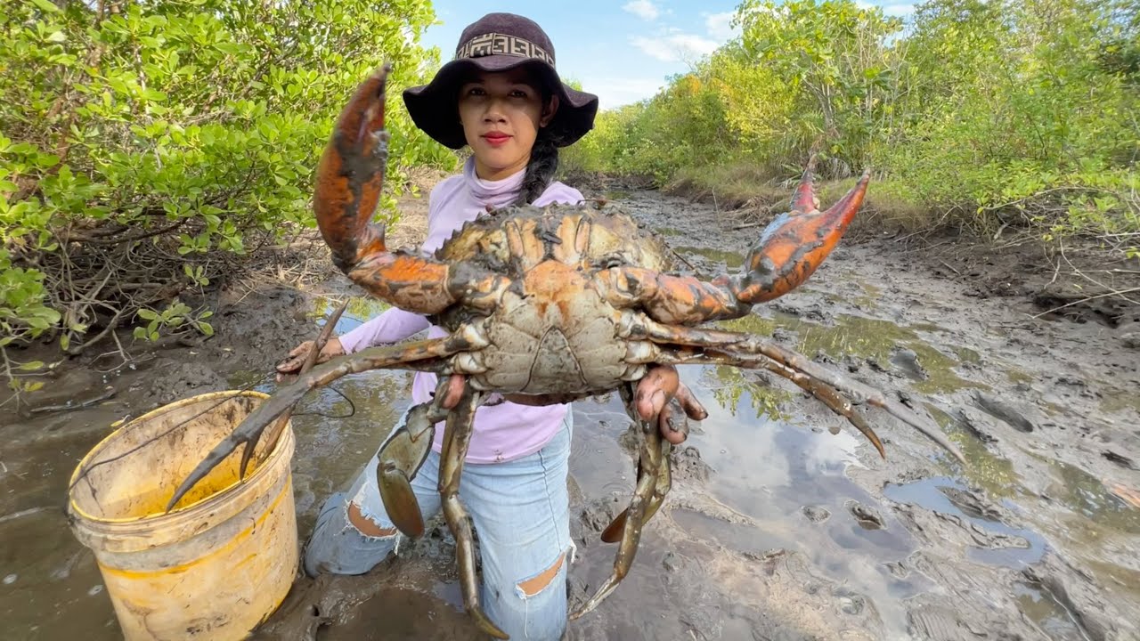 Lucky - I Found Huge Mud Crabs at Mangrove Trees after Water Low Tide ...