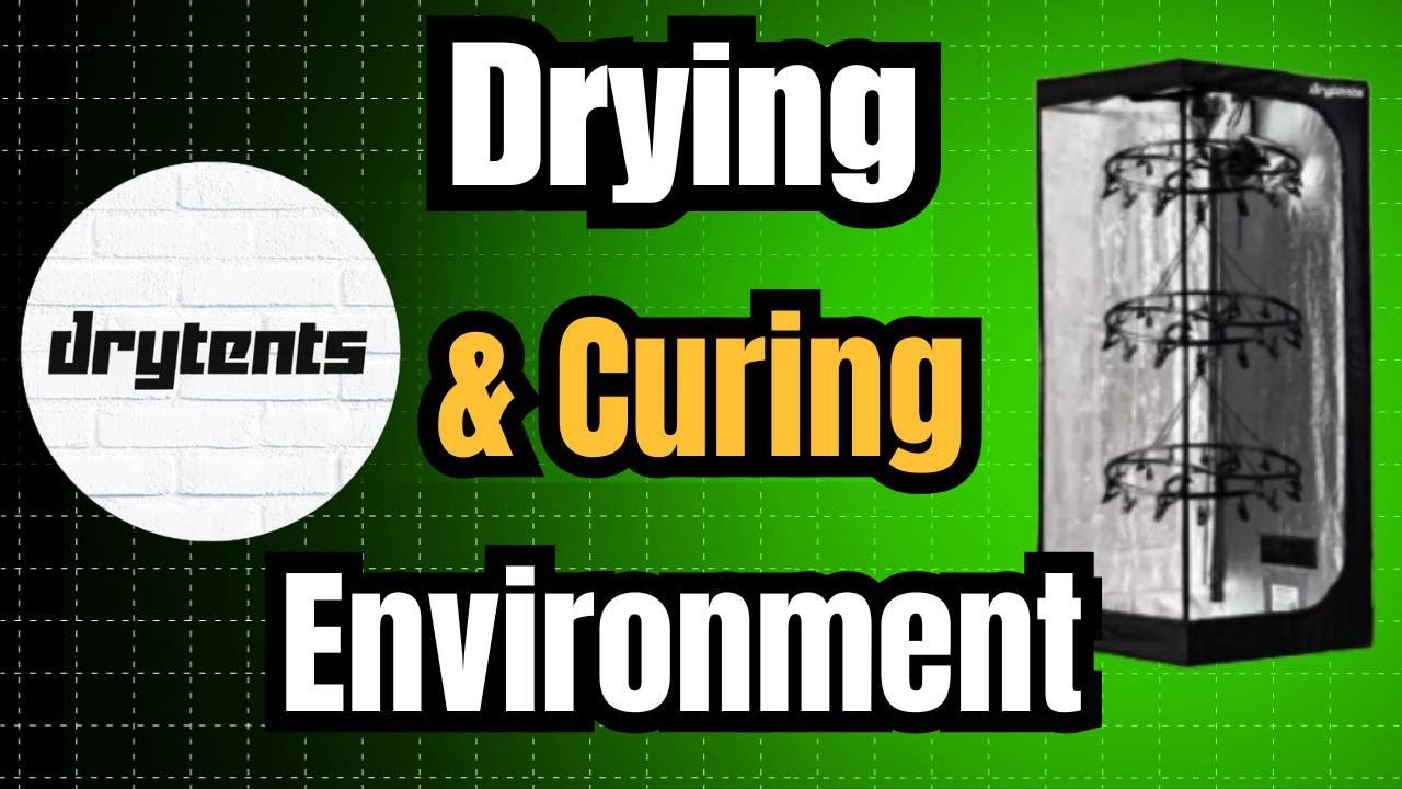 Mastering the Art of Drying & Curing with Dry Tents: A Deep Dive - YouTube