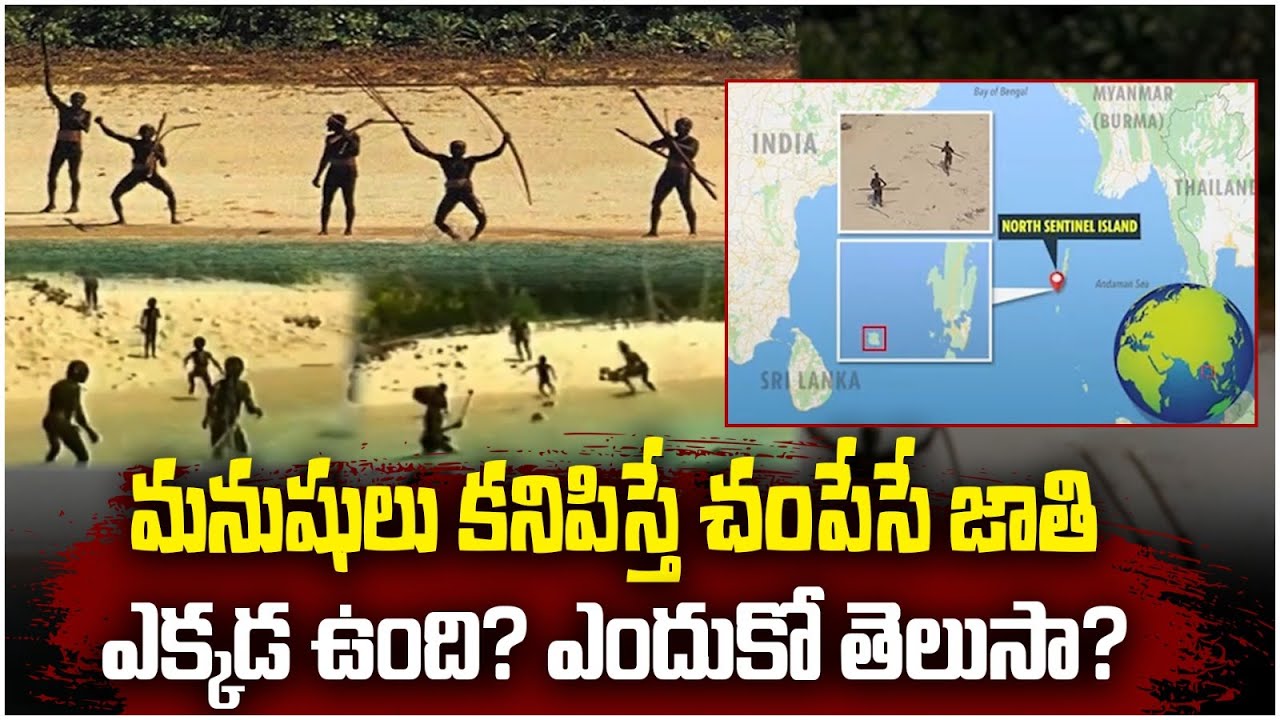 Tribes In Andaman And Nicobar Islands | Unknown Facts About Andaman And ...