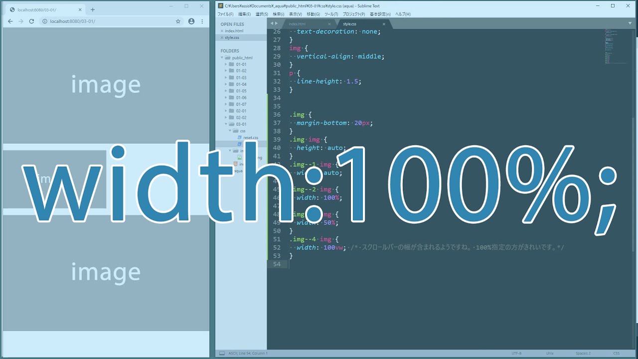 Width 100vw width 100 YouTube width-100vw-width-100-youtube
