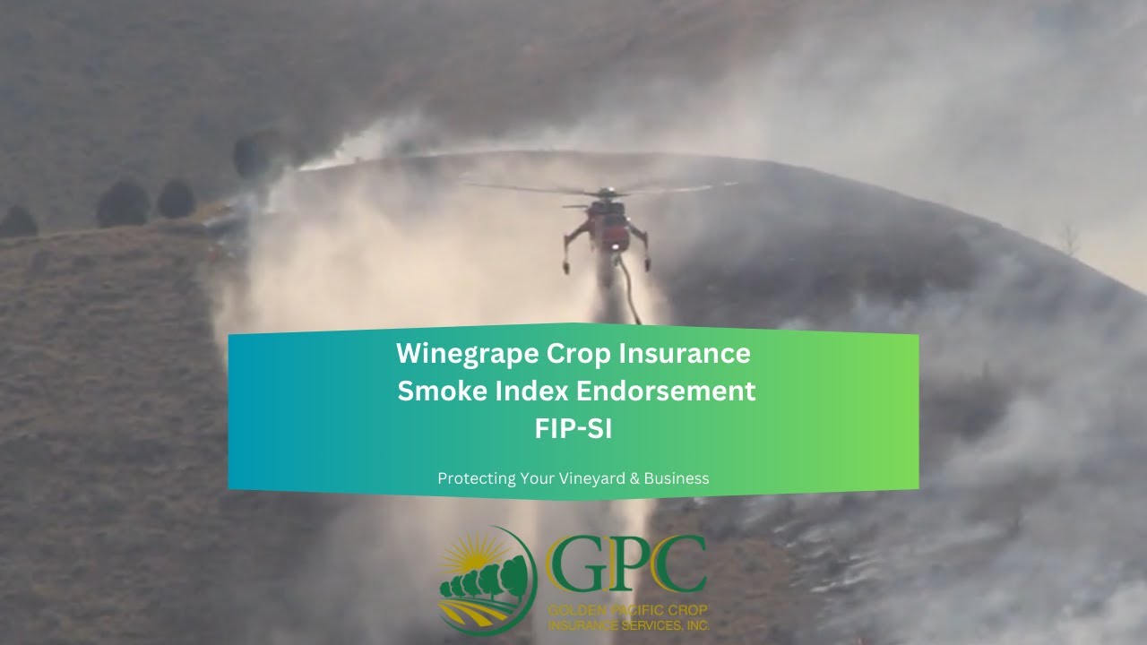 Winegrape Insurance Smoke Index Endorsement(FIP-SI)| Golden Pacific ...
