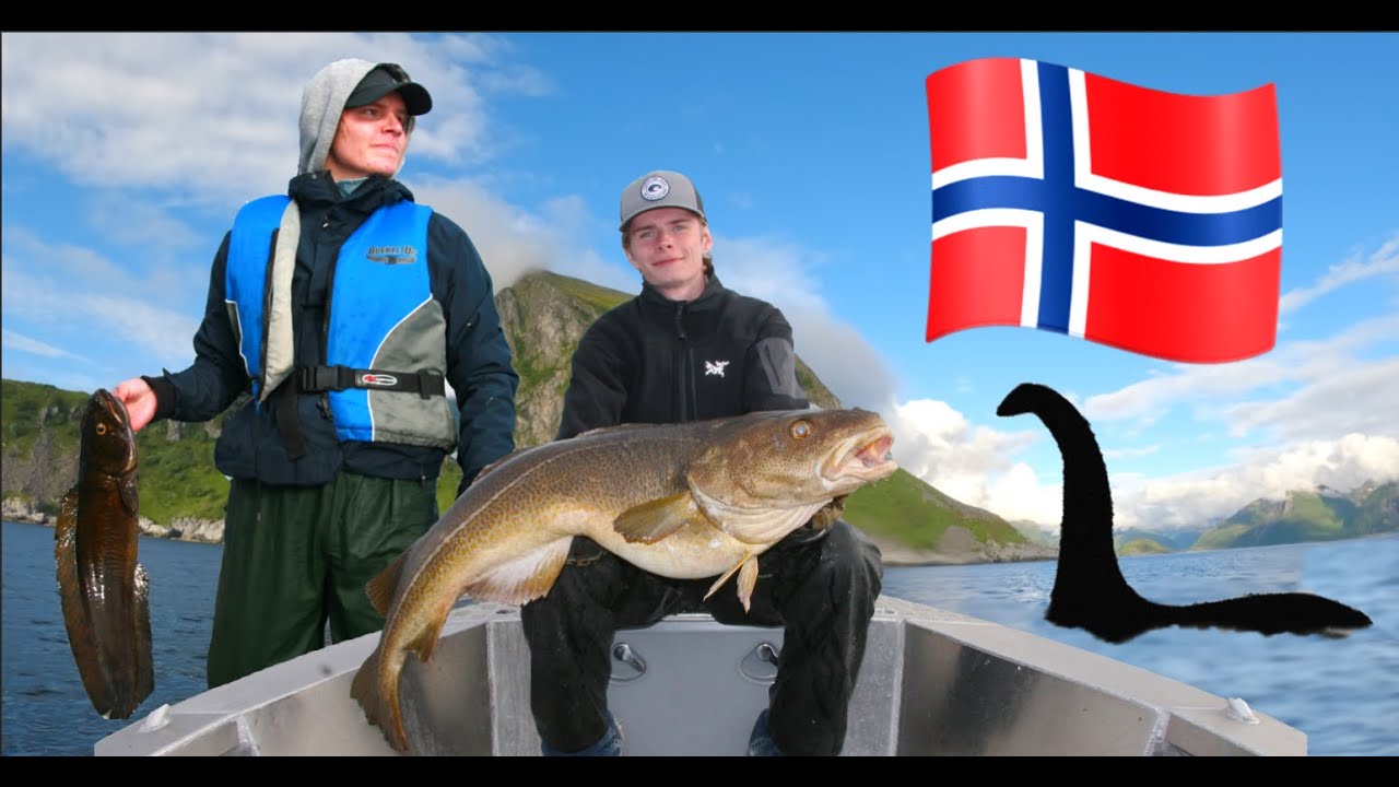 MONSTER TORSK och HAVSKATT!!! Senja - del 2 - YouTube