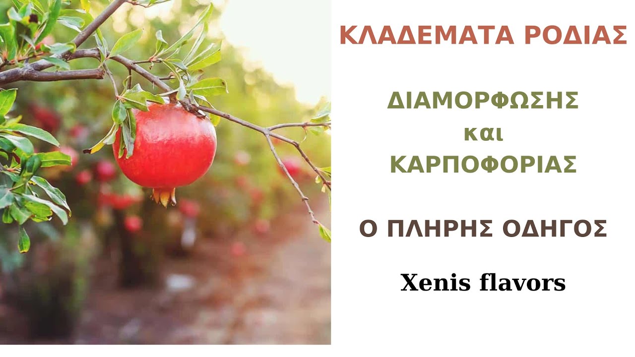 ΡΟΔΙΑ ΚΛΑΔΕΜΑΤΑ ΔΙΑΜΟΡΦΩΣΗΣ Κ ΚΑΡΠΟΦΟΡΙΑΣ! ΑΝΑΛΥΤΙΚΟΣ ΟΔΗΓΟΣ! Xenis ...