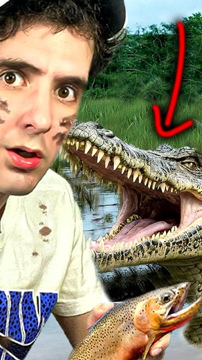Le di de Comer a un Cocodrilo - YouTube