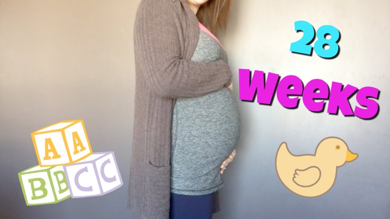 BUMP DAY! - 28 Week Update! - YouTube