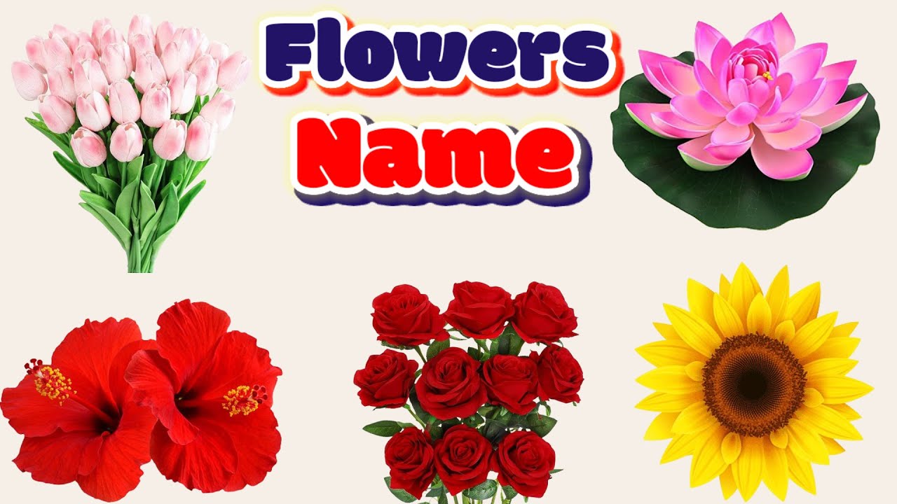 Flowers name with spelling || Flower names for kids || Snow kids tv ...