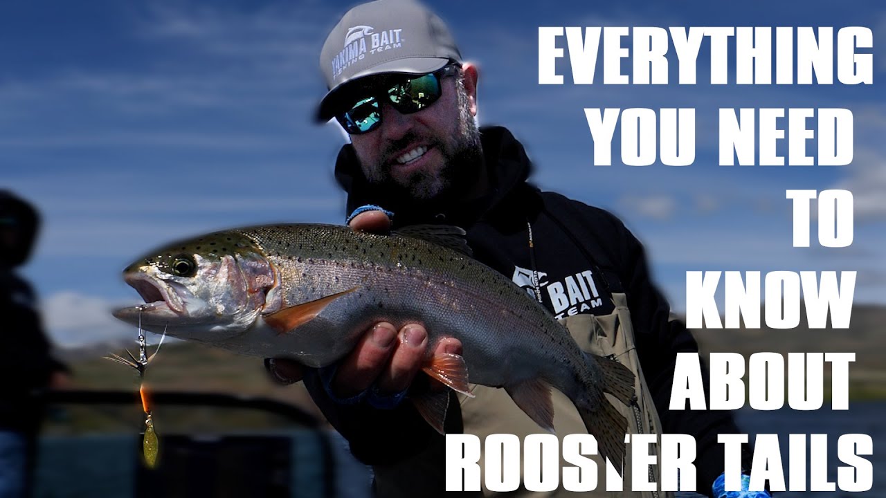 Trout Were Hammering Rooster Tails | Ultimate Guide - YouTube