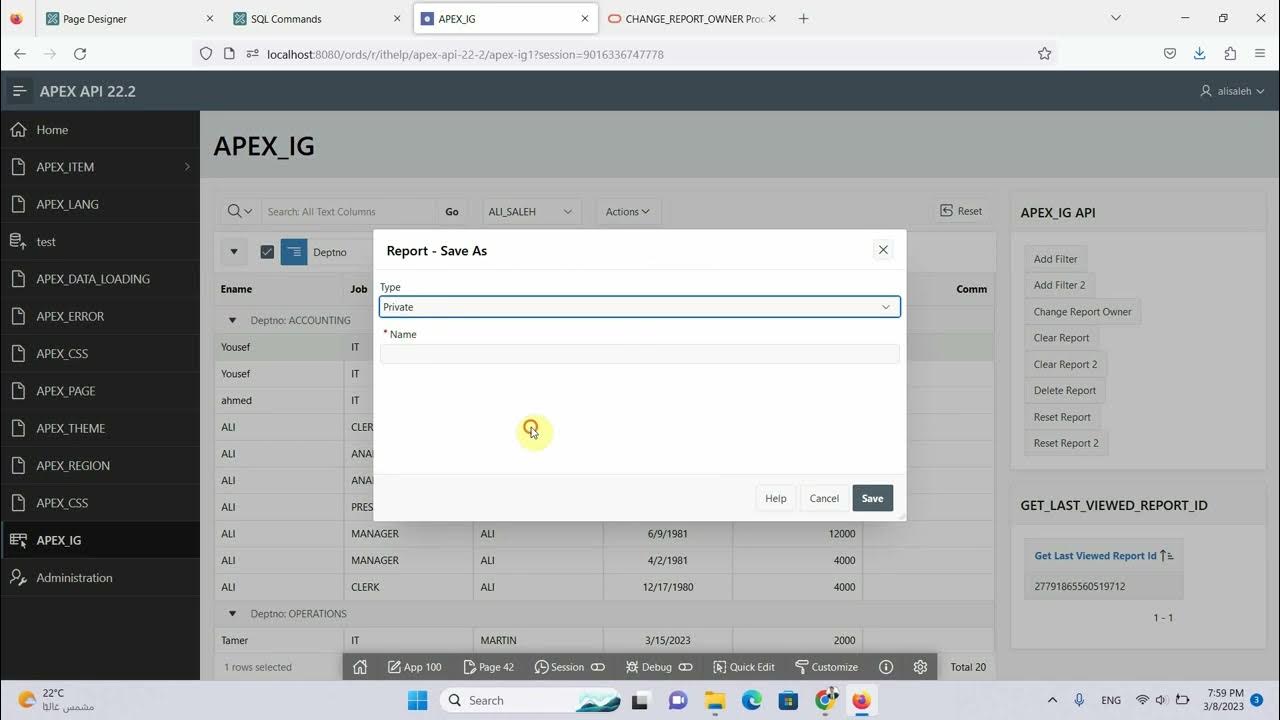 APEX_IG : CHANGE_REPORT_OWNER Procedure - YouTube