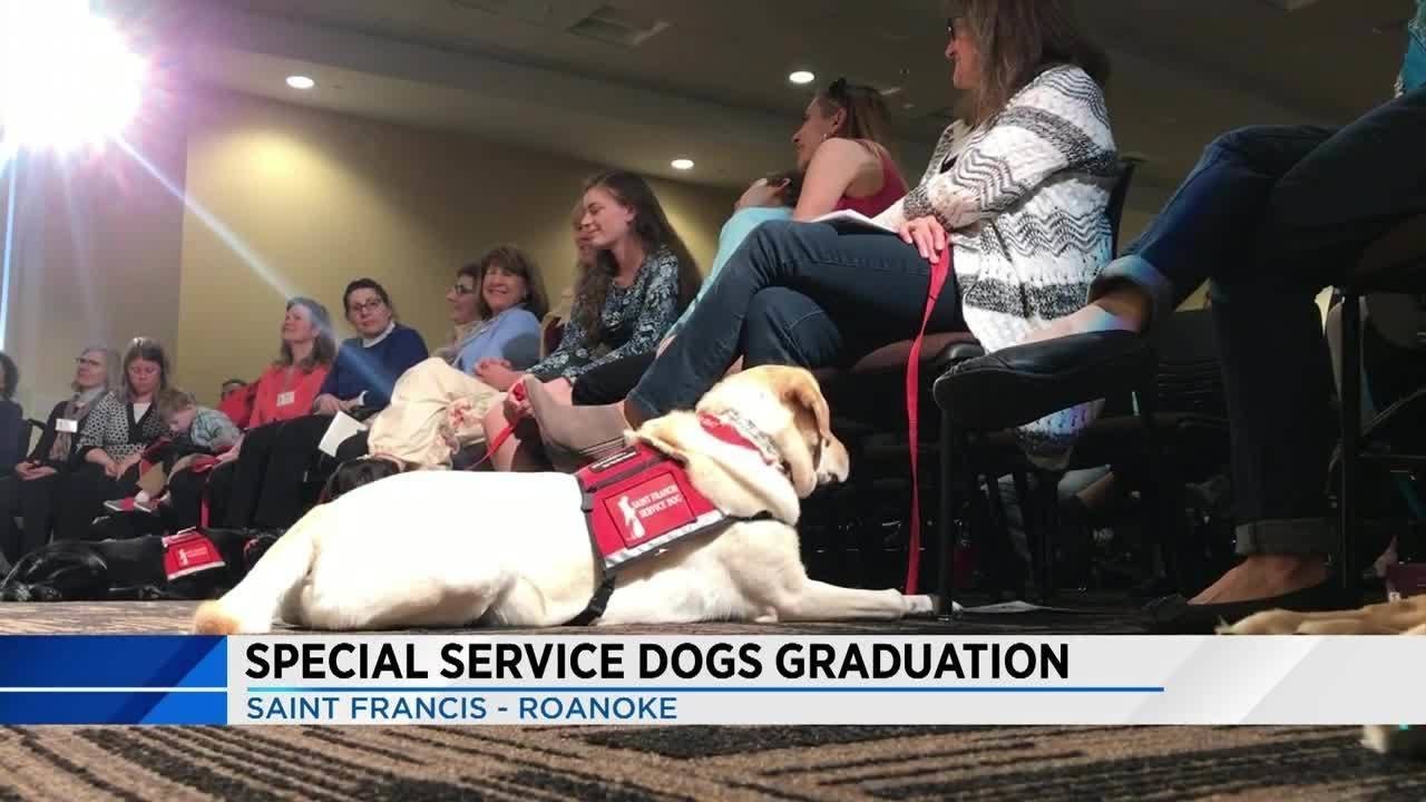 Special service dogs graduation - YouTube