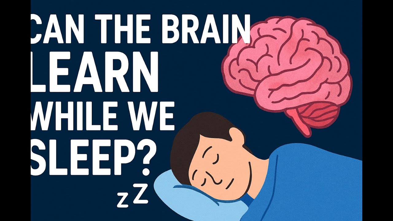 Can the Brain Learn While We Sleep? - YouTube