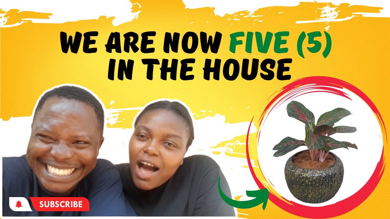 Living Room Makeover And Additional Family Member. - YouTube