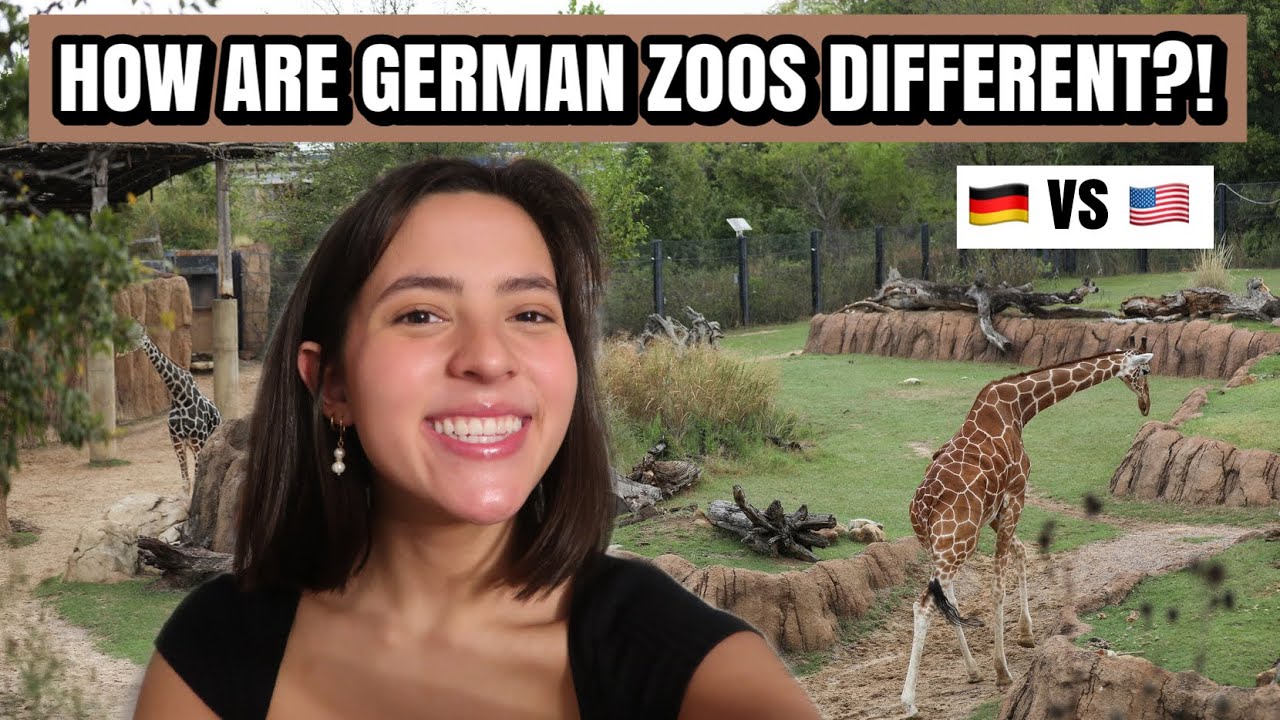 German Culture Shocks at the ZOO! - YouTube
