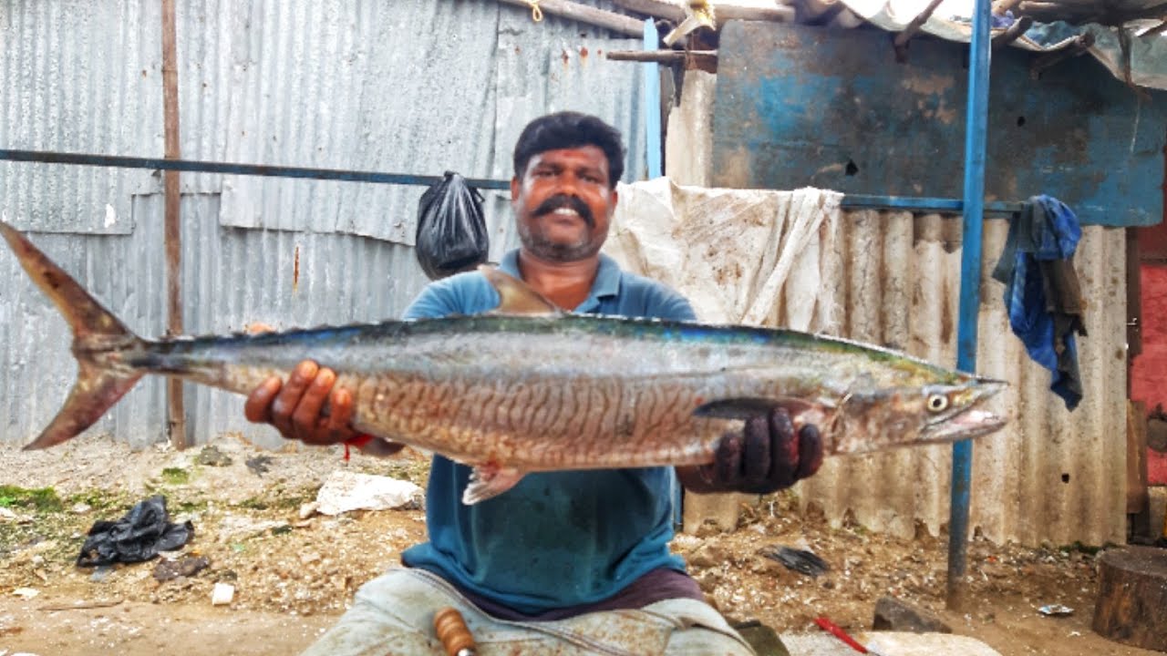 BIGGEST | VANJIRAM MEEN | SEER FISH | MAAVULAASI MEEN | AMAZING CUTTING ...