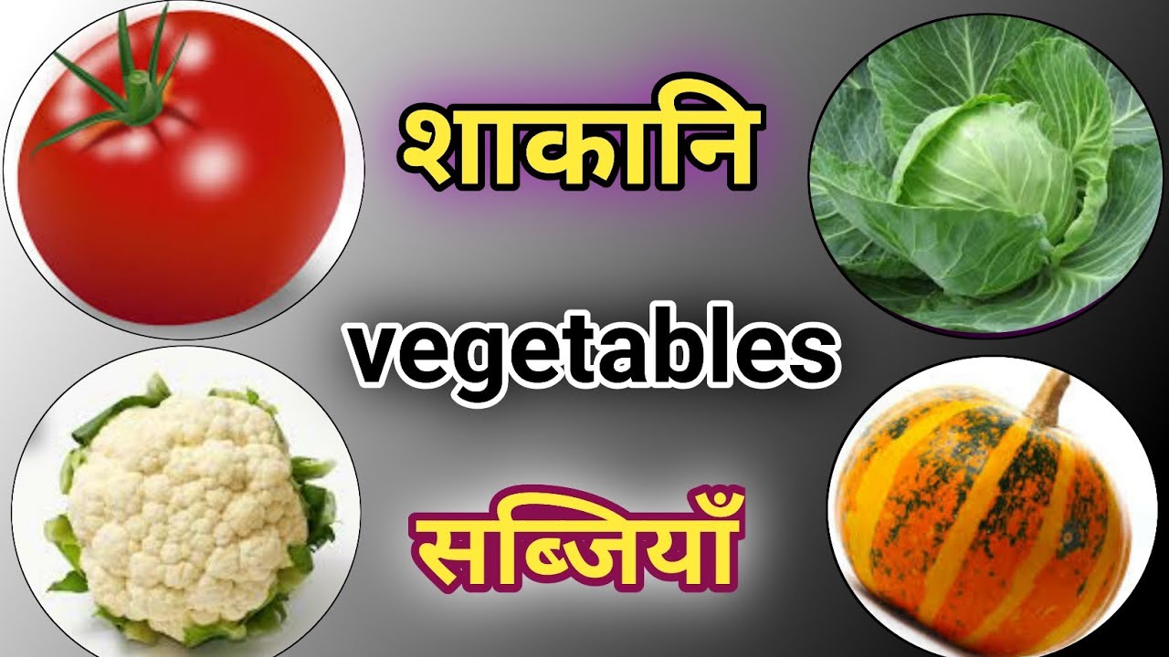 Sanskrit Learning For Beginners 3rd Series Sanskrit Vegetables Name Sanskrit Learning For Beginners 3rd Series Sanskrit Vegetables Name