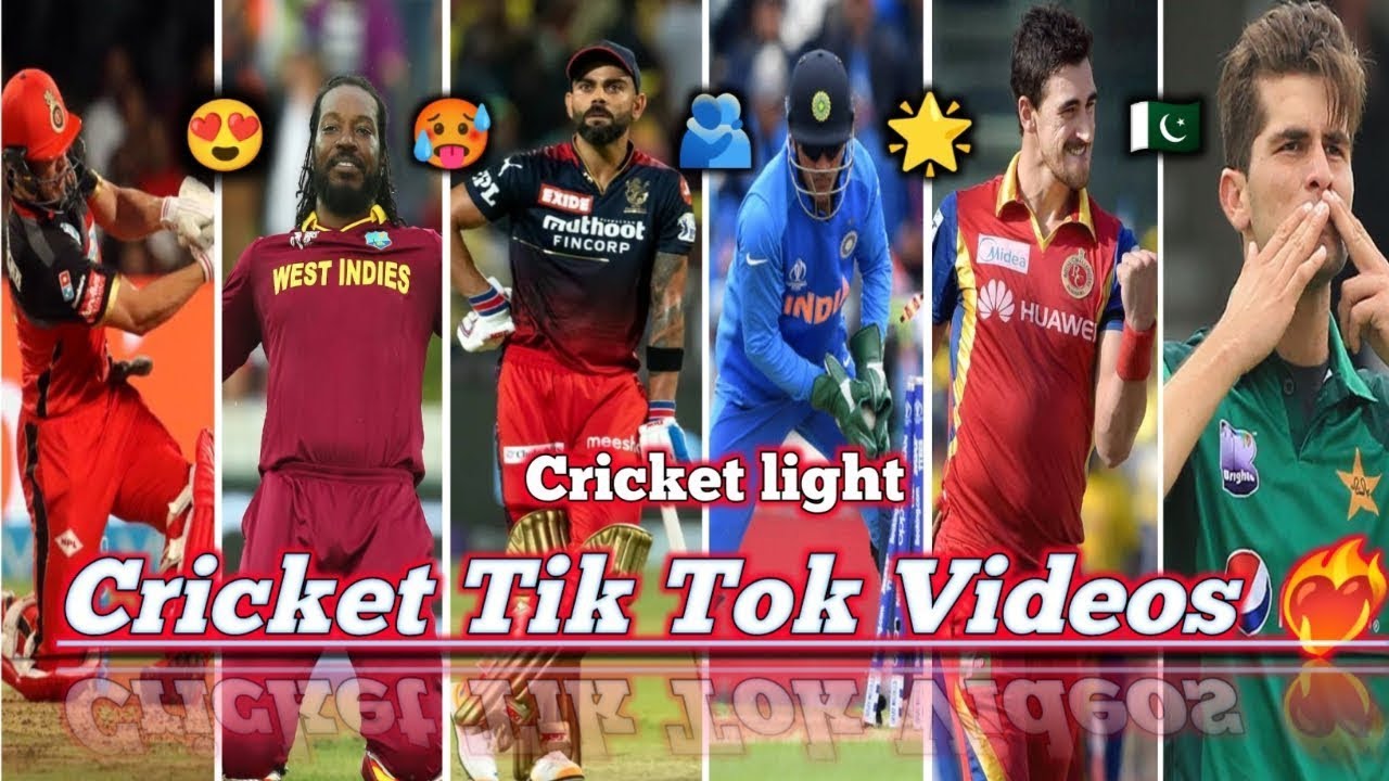 Cricket video new cricket tik tok video cricket reels video cricket new ...