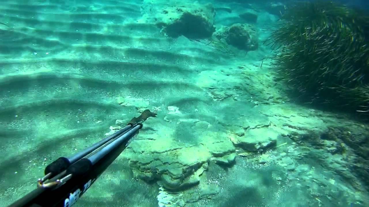 Spearfishing Mediterranean moray eel at Cyprus /σμερνα ψαροντουφεκο ...
