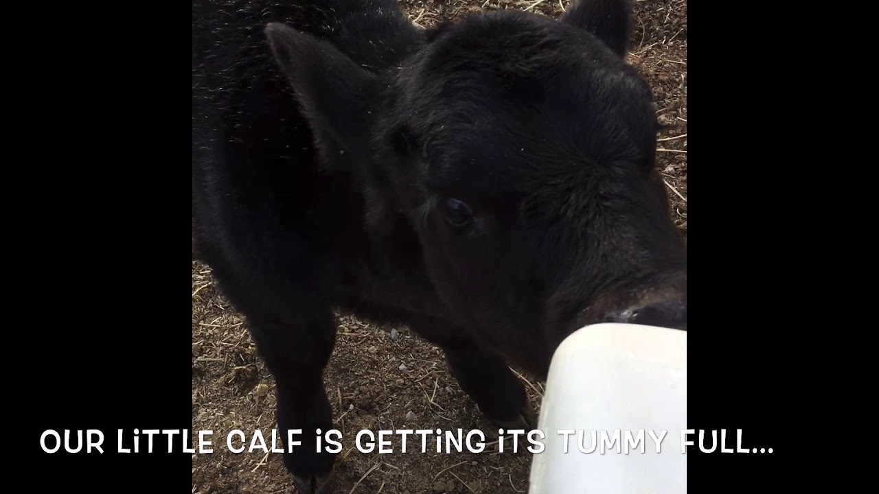 Lunch Time Shenanigans! - YouTube
