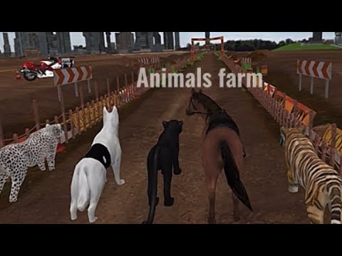 Animals. Animal racing - YouTube