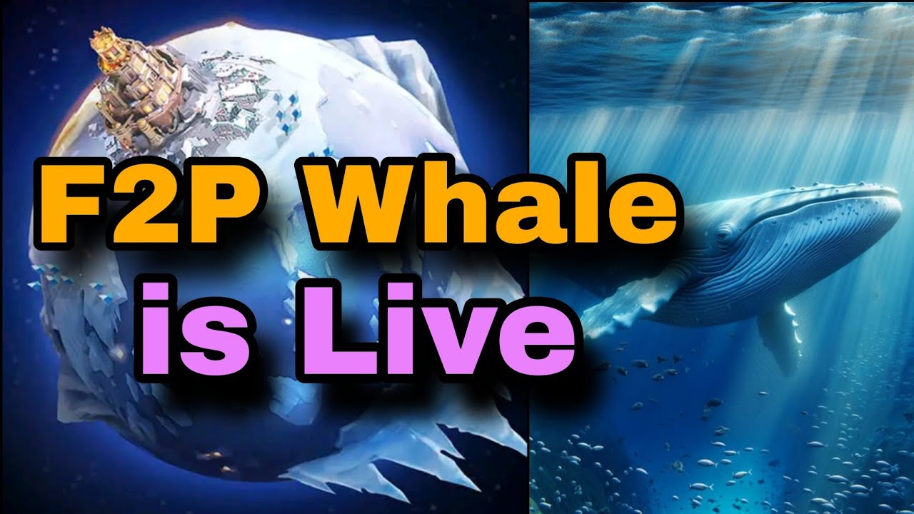 Whiteout Survival Foundry Battle Live Youtube